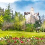 Bucharest: Dracula Castle, Peles Castle & Brasov Guided Tour - The Itinerary: What Makes Each Stop Special