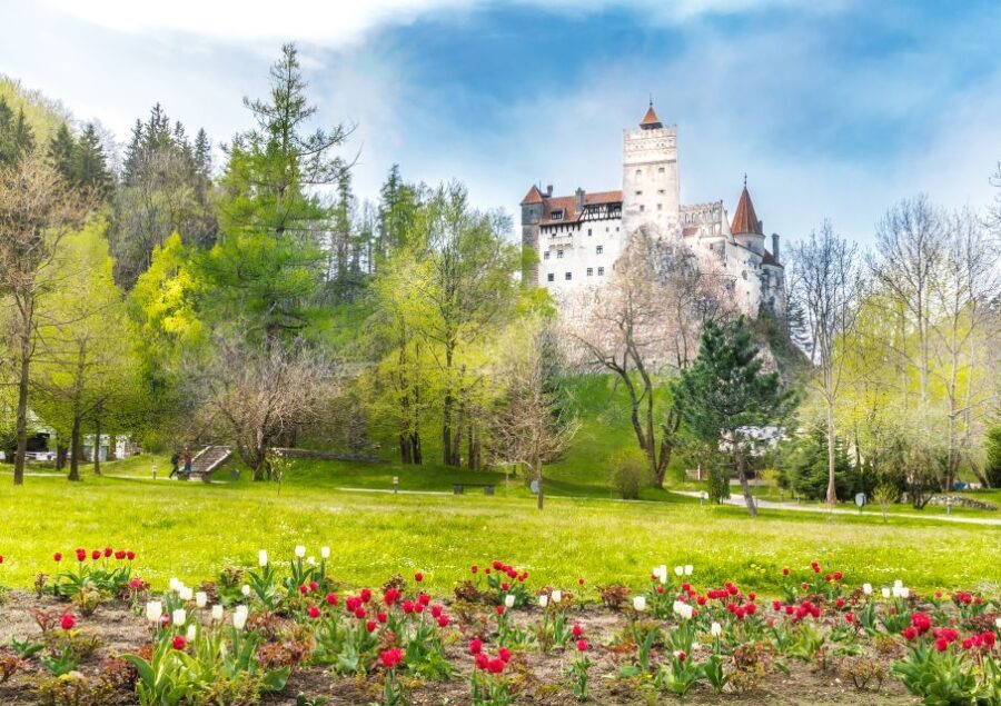 Bucharest: Dracula Castle, Peles Castle & Brasov Guided Tour - The Itinerary: What Makes Each Stop Special