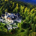 Bucharest: Dracula's Castle, Peles Castle, & Brasov Old Town - Why This Tour Is Worth Considering