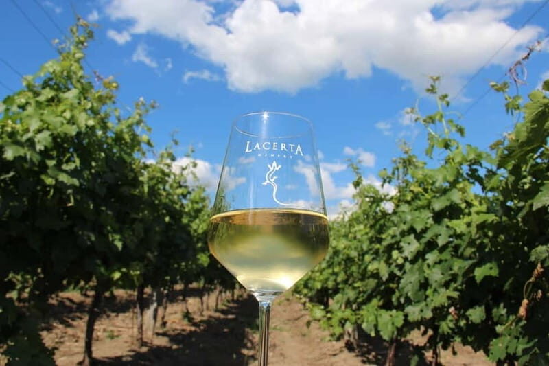 Bucharest: Taste the Magic of Wine in Romanias Tuscany - La Certa Winery: Modern Innovation Meets Award-Winning Wines