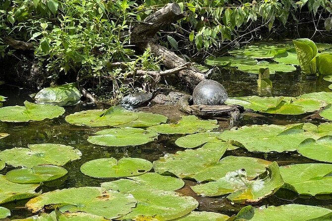 Buckhorn State Park nature hike, kayaking tour, and fishing - A Detailed Look at the Itinerary