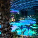 Bucuresti: Therme Bucharest Evening Entry Ticket & Transfer - The Experience at a Glance