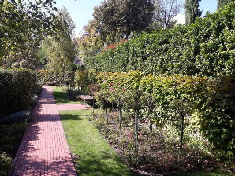 Budapest: Best Gardens Walking Tour & Hungarian Folk Music - Margaret Island: The Heart of Budapest’s Greenery