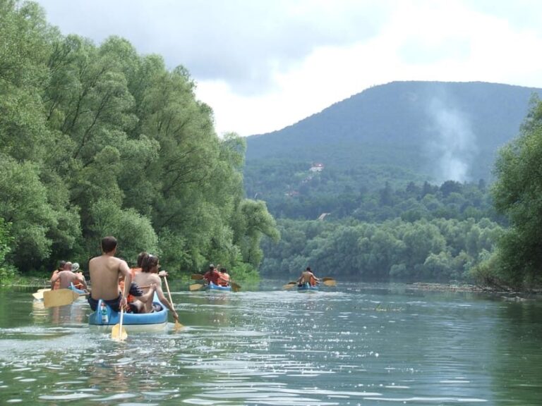 Budapest: Canoeing the Danube w or wo Sauna or Danube Beach - Finishing at Leányfalu: Food and Local Flavor