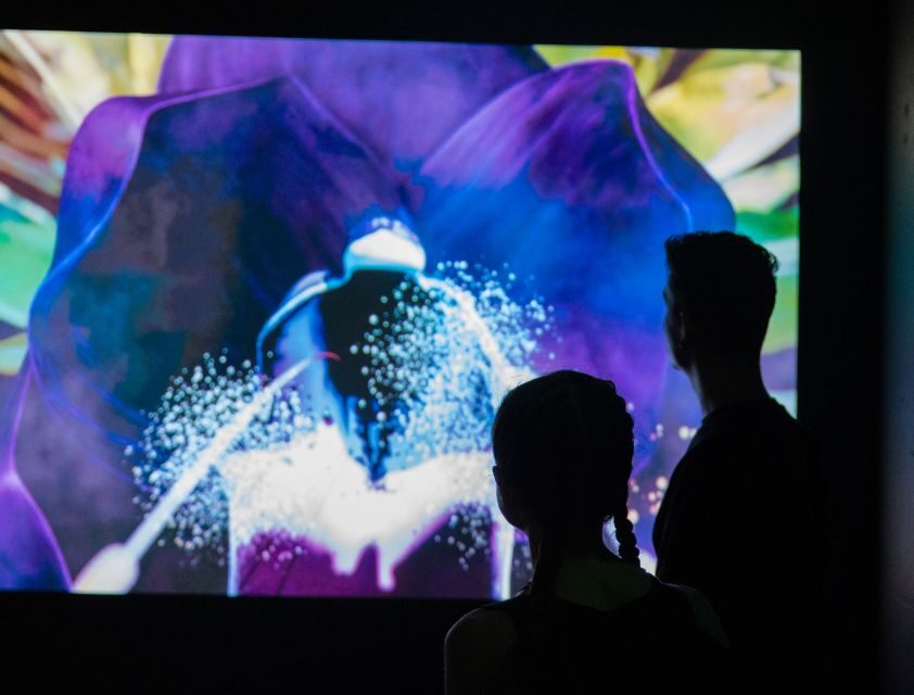 Budapest: Cinema Mystica Entry Ticket - The Practicalities: Planning Your Visit