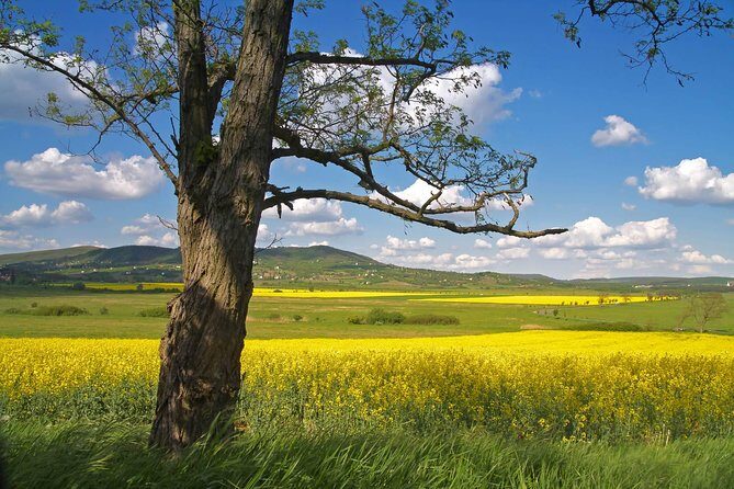 Budapest-Vienna One-Way Sightseeing Transfer - Who Will Love This Tour?
