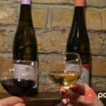 Budapest: Wine Tasting with Fun Games and Delicious Snacks - Why It Works