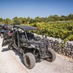 Buggy Safari With Wine Tasting - Who Should Consider This Tour?