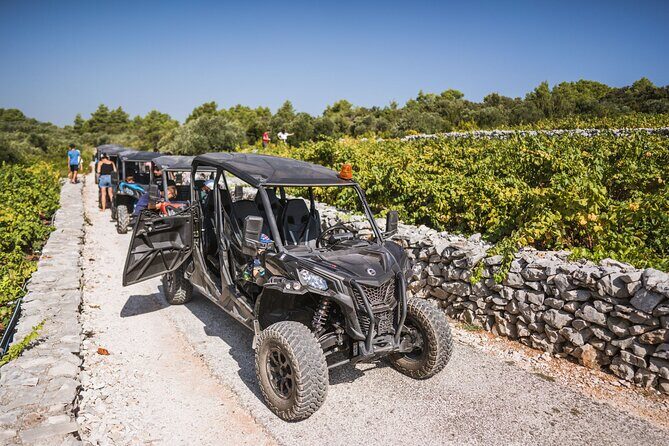Buggy Safari With Wine Tasting - Who Should Consider This Tour?