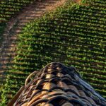 Burgundy Hot-Air Balloon Ride from Beaune - The Experience You’ll Love and Might Miss
