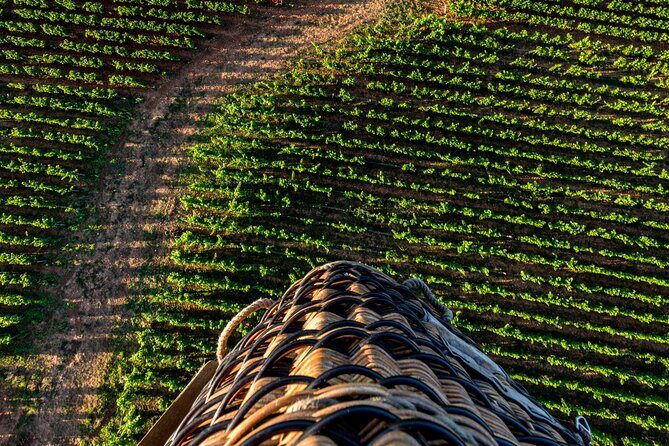 Burgundy Hot-Air Balloon Ride from Beaune - The Experience You’ll Love and Might Miss
