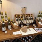 Burgundy Wine & Cheese Tasting Private Day Trip 15 glasses - Who Will Love This Tour?