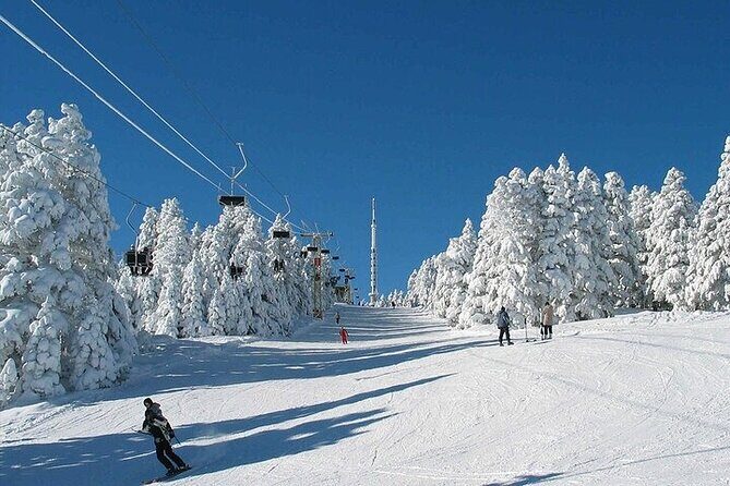Bursa Uludag Tour From Istanbul - Who Will Appreciate This Tour?