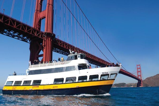 Bus & Boat & Bike Adventure - 3 Tours in 1 - Authentic Perspectives from Travelers