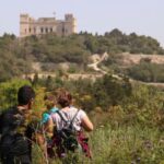 Buskett Woodlands and Dingli Cliffs Private Nature Tour - Itinerary Breakdown and Highlights