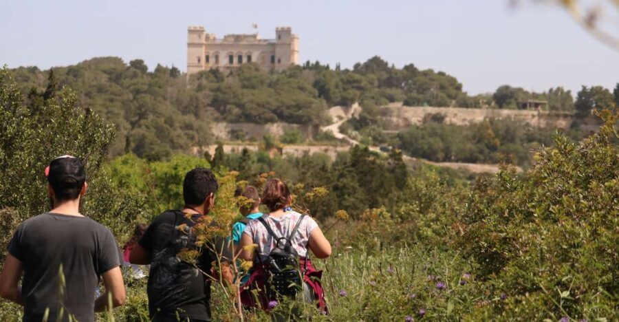 Buskett Woodlands and Dingli Cliffs Private Nature Tour - Itinerary Breakdown and Highlights