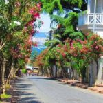 Buyukada Princes Island Guided Day Tour with lunch from Istanbul - Practical Tips to Maximize Your Day