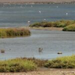Cabo de Gata Natural Park from Roquetas, Aguadulce & Almeria - The Return and Overall Value
