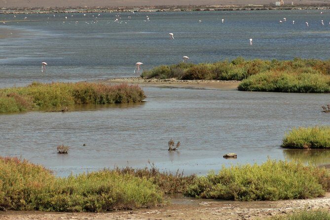 Cabo de Gata Natural Park from Roquetas, Aguadulce & Almeria - The Return and Overall Value