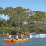 Calanques National Park Kayak Day Tour - Why This Tour Appeals to Different Travelers
