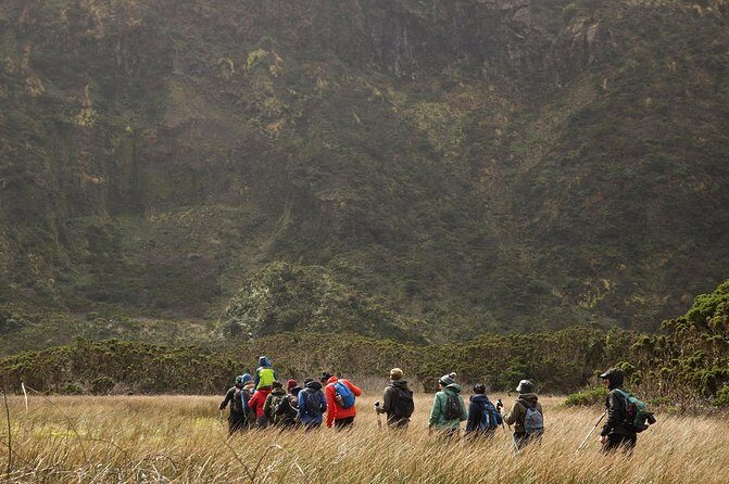 Caldeira do Faial Descent - private hiking tour - A Detailed Look at the Caldeira do Faial Descent Tour
