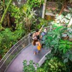 California Academy of Sciences General Admission Ticket - Who Will Love the California Academy of Sciences?
