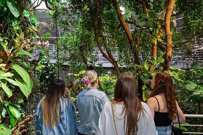California Academy of Sciences NightLife Plus Admission Ticket - The Osher Rainforest Dome and Planetarium