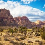 California desert, Red Rock Sign and Seven Magic Mts - Transportation and Group Size: Making the Most of Your Day