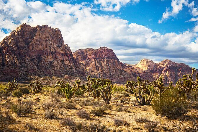 California desert, Red Rock Sign and Seven Magic Mts - Transportation and Group Size: Making the Most of Your Day