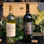 California Vs. Colorado Wine Tasting - A Practical Deep Dive into the Experience