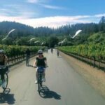 Calistoga: Napa Valley Cycling and Winery Tour with Picnic - Who Will Love This Tour?