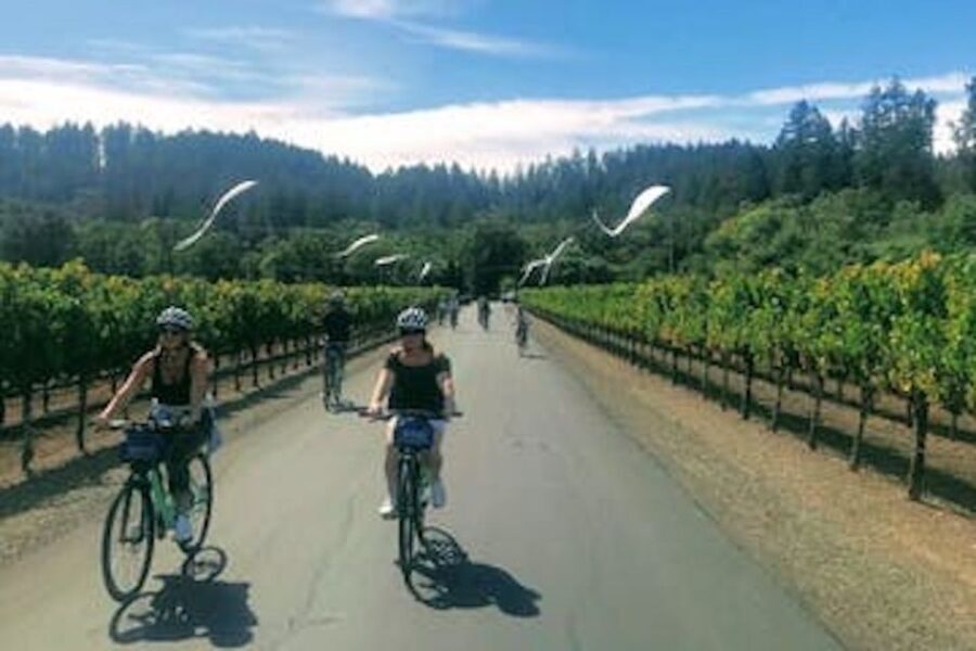 Calistoga: Napa Valley Cycling and Winery Tour with Picnic - Who Will Love This Tour?