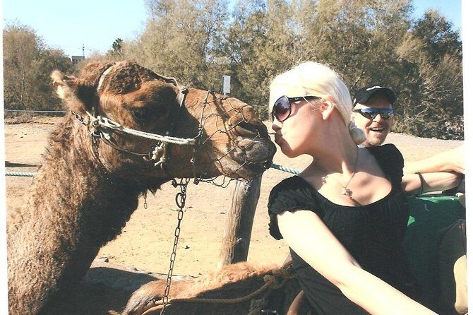 Camel riding in the dunes of Maspalomas - What Past Travelers Say