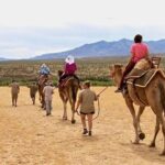 Camel Safari - Camel Ride and Zoo Tour - Why This Tour Offers Good Value