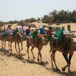 Camel Safari through the Dunes of Maspalomas - Who Should Consider This Tour?