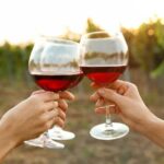 Canandaigua Wine Trail Experience - Who Should Consider This Tour?