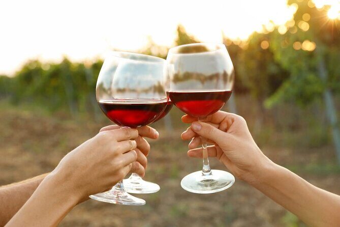 Canandaigua Wine Trail Experience - Who Should Consider This Tour?