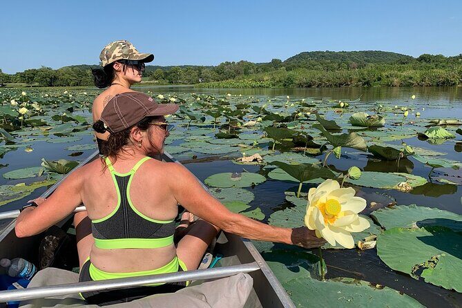 Canoe/Kayak Day Tour of Mississippi Wildlife & Fish Refuge - Final Thoughts