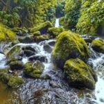 Canyoning Adventure in Ribeira da Salga (Sao Miguel - Azores) - Authentic Experiences and Notable Highlights from Reviews