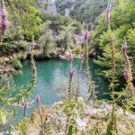 Canyoning and Zipline in Polylimnio Waterfalls - What Sets This Tour Apart: The Value and Experience