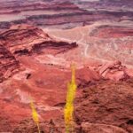 Canyonlands National Park Backcountry 4x4 Adventure from Moab - What Travelers Say