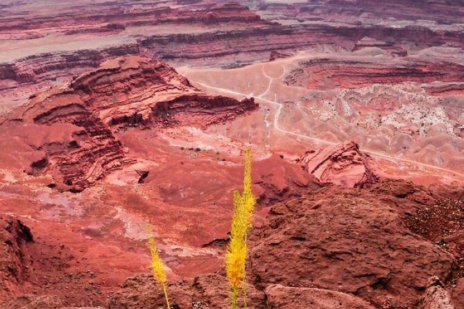 Canyonlands National Park Backcountry 4x4 Adventure from Moab - What Travelers Say