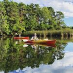 Cape Cod Kayak Rentals in the Great Marsh - What Makes Great Marsh in East Sandwich Special?