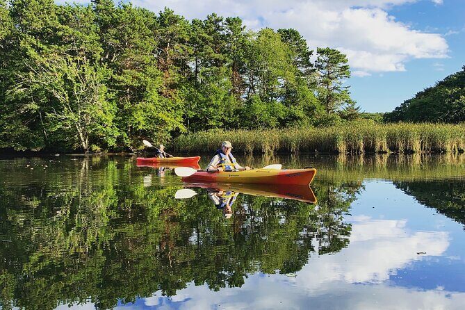 Cape Cod Kayak Rentals in the Great Marsh - What Makes Great Marsh in East Sandwich Special?