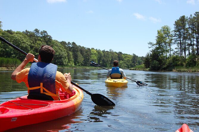 Cape Cod Sunset Kayak Tour - Why This Tour Stands Out