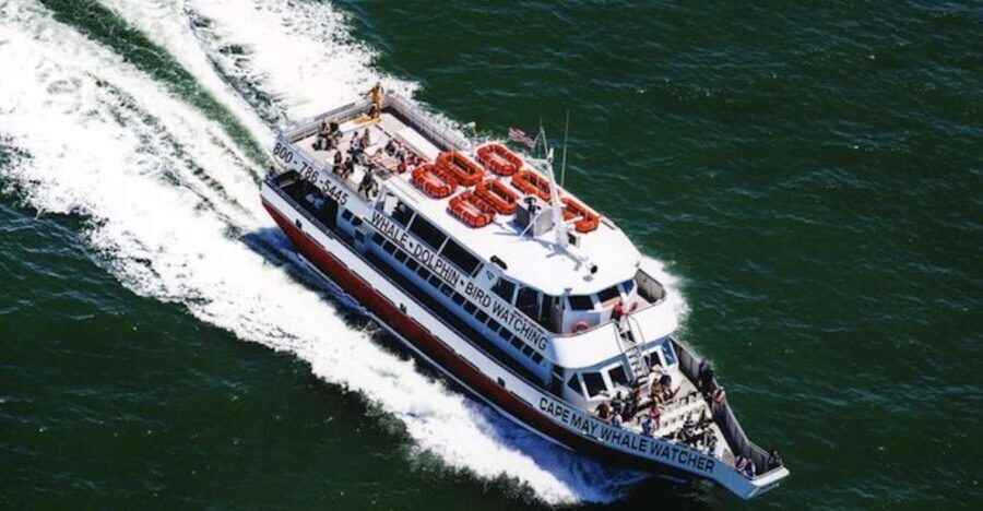 Cape May: Grand Lighthouse Cruise - Why This Tour Really Works for Travelers