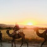 Cappadocia Camel Ride - The Guides and Group Size
