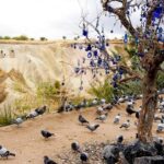 Cappadocia : Green Tour Entry Tickets And Lunch Included - Who Will Love This Tour?