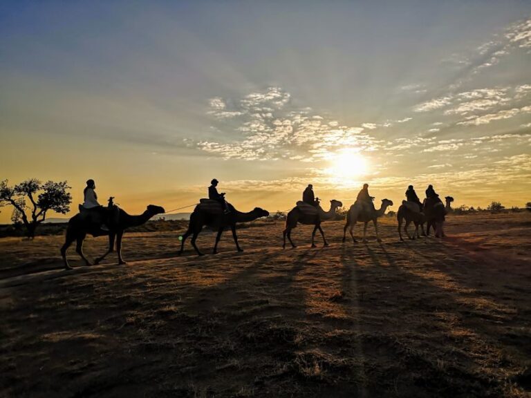 Cappadocia: Sunrise Camel Safari - The Value Proposition