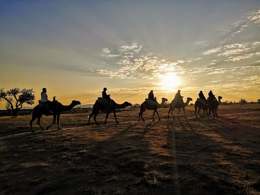 Cappadocia: Sunrise Camel Safari - The Value Proposition